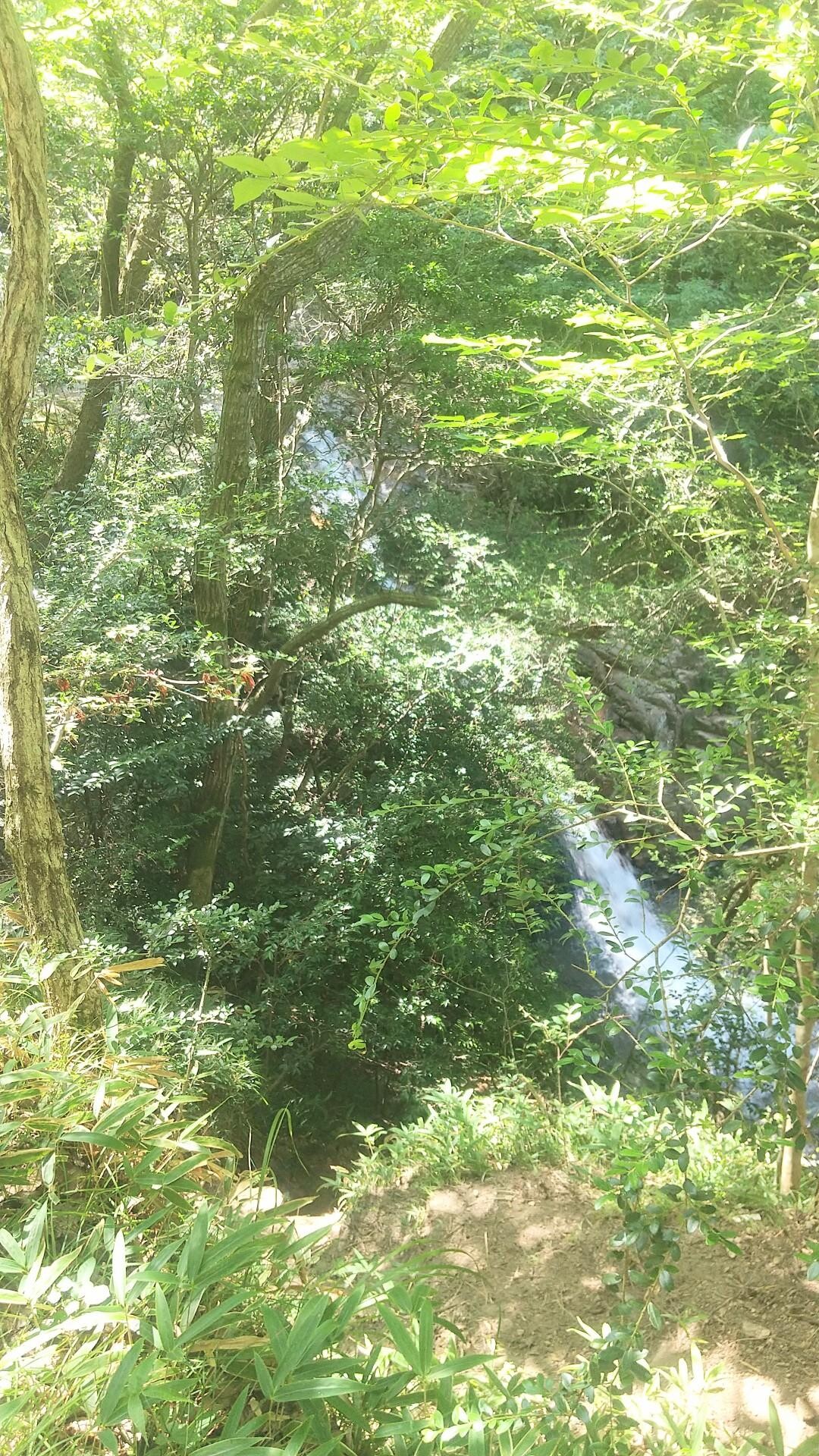 ShinjiHさんの投稿したフィールドメモ | YAMAP / ヤマップ