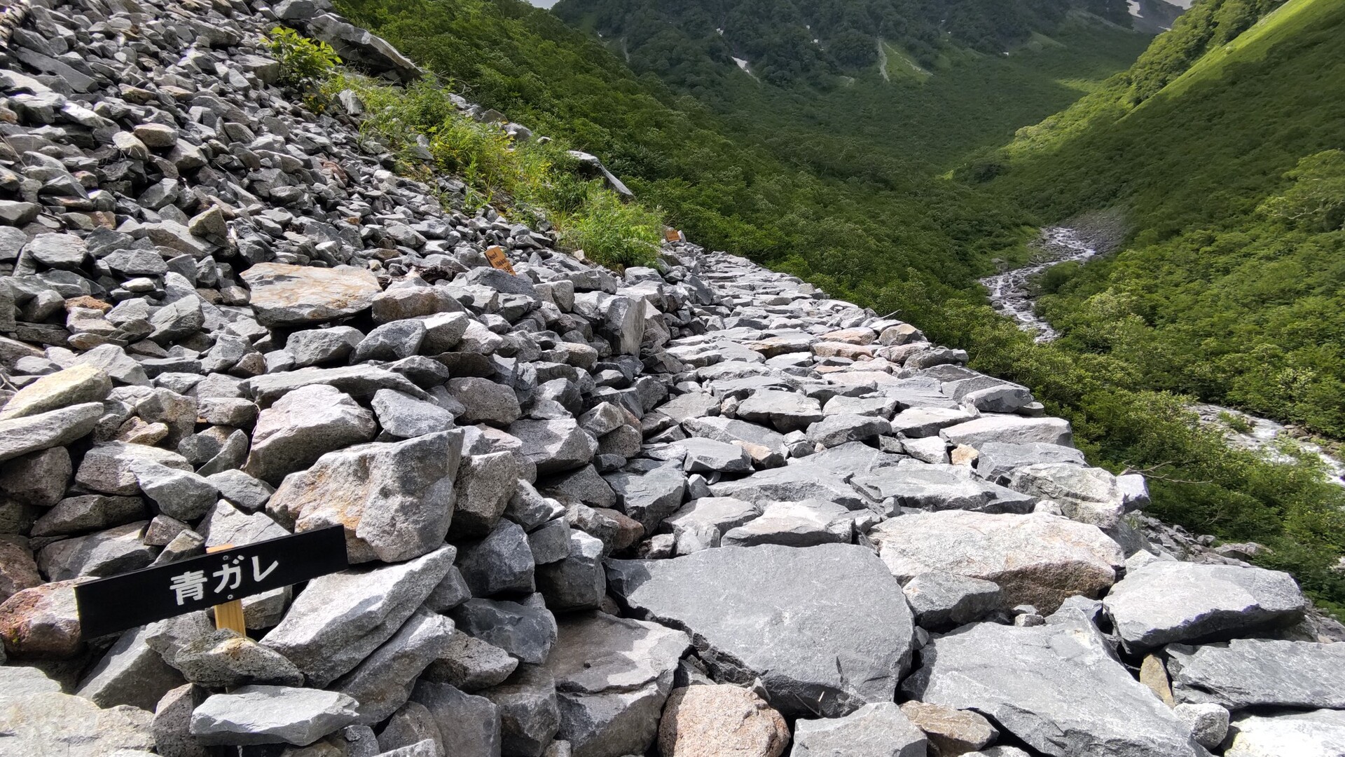 Enzouさんの投稿したフィールドメモ | YAMAP / ヤマップ