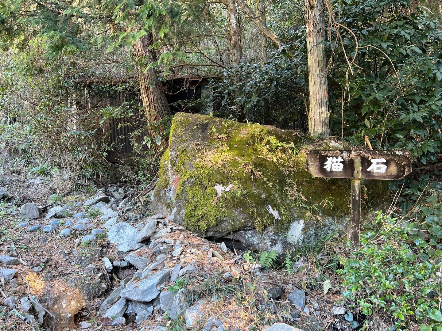 ken-endoさんの投稿したフィールドメモ | YAMAP / ヤマップ