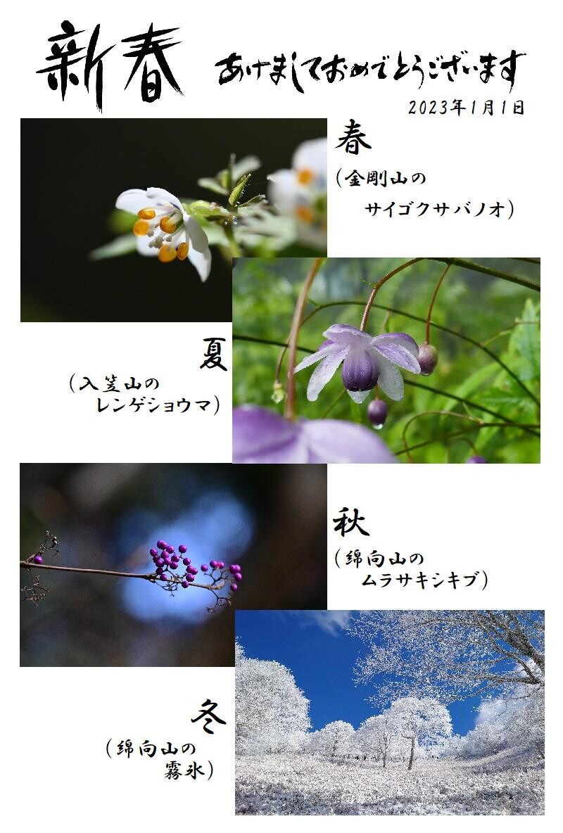 明けましておめでとうございます。 本年も... / keith0920さんのモーメント | YAMAP / ヤマップ