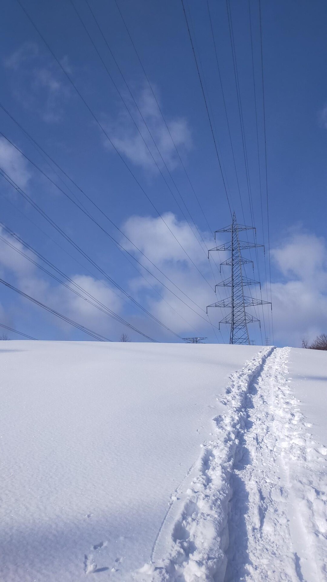 迷って…ないよ😆、 ️迷沢山・迷沢山西峰 / luckyさんの手稲山・奥手稲山の活動日記 | YAMAP / ヤマップ
