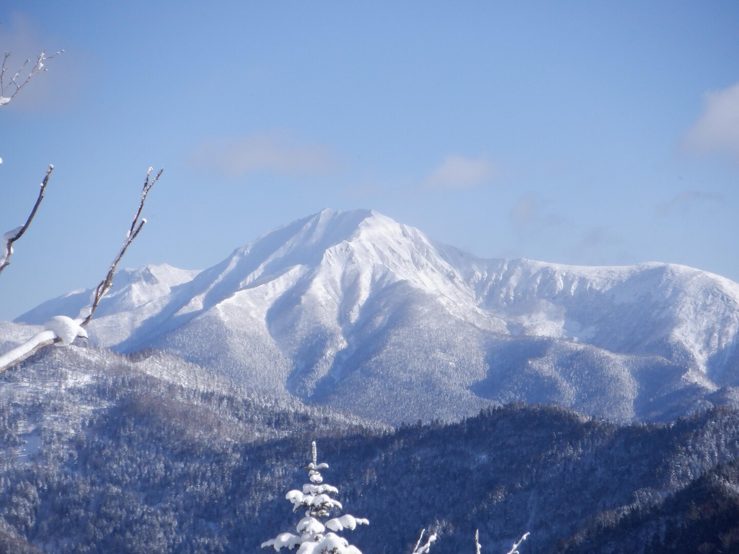 二股山 / sapさんの新得町 北エリアの活動データ | YAMAP / ヤマップ