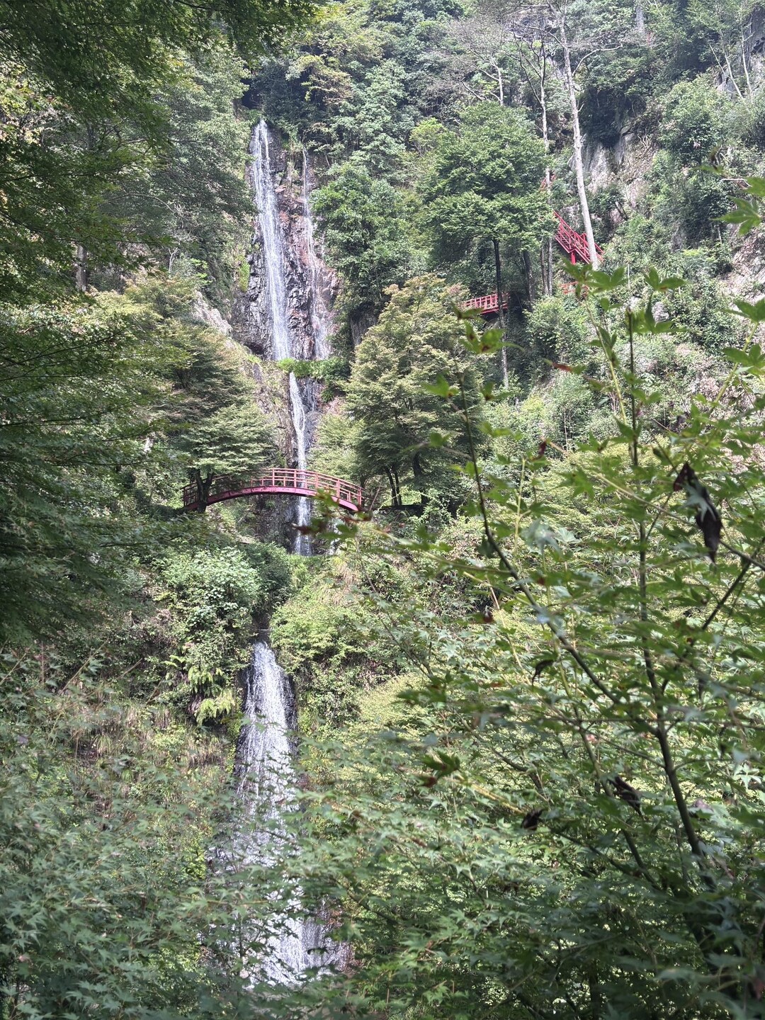 五宝滝 【岐阜県八百津町】 / aichi ksさんの久田見山（砥山）の活動データ | YAMAP / ヤマップ