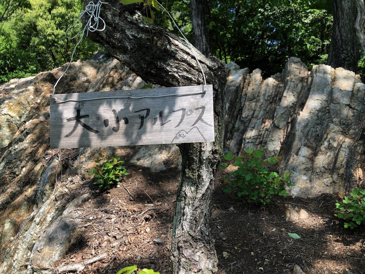 大小アルプス / ryotaさんの大小山（妙義山）・西場富士の活動データ | YAMAP / ヤマップ