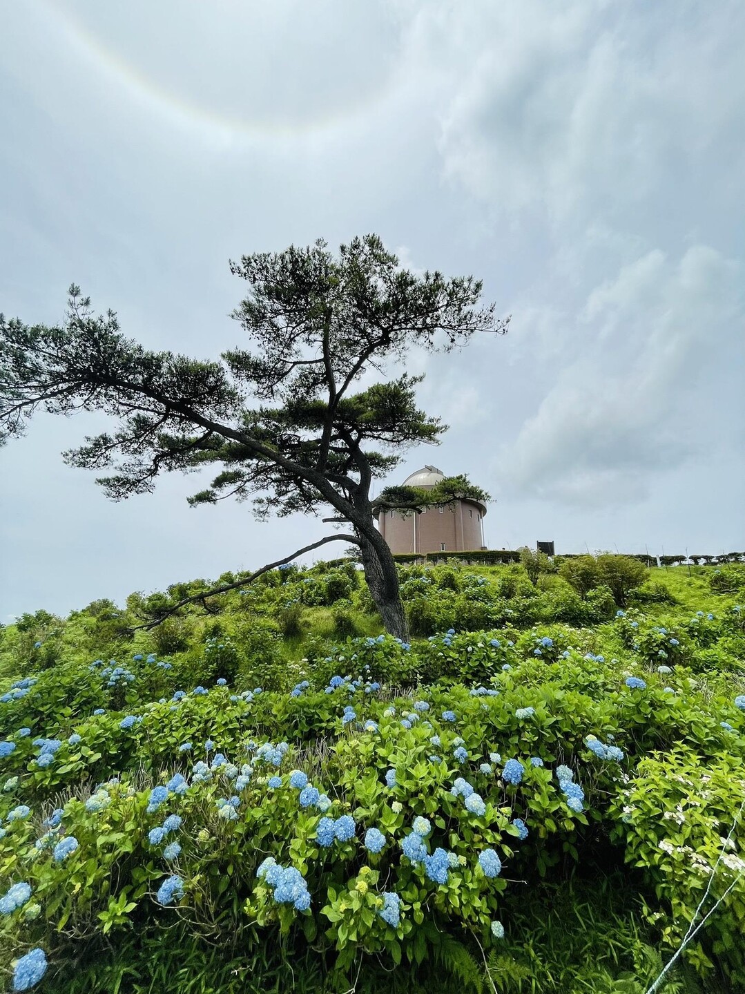 大野山・上の山 / naoさんの大野山の活動データ | YAMAP / ヤマップ