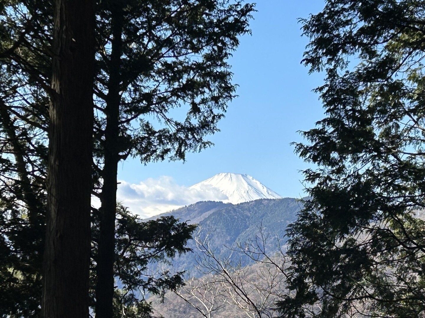 2年振り？2回目の塔ノ岳⛰️ 三ノ塔へ行... / ayanonさんのモーメント | YAMAP / ヤマップ