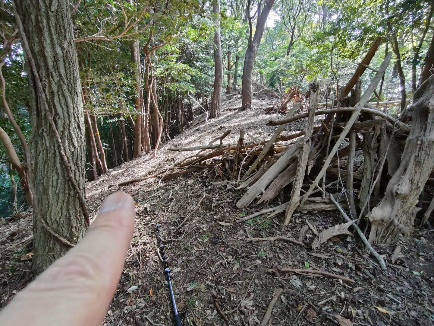 miyaさんの投稿したフィールドメモ | YAMAP / ヤマップ