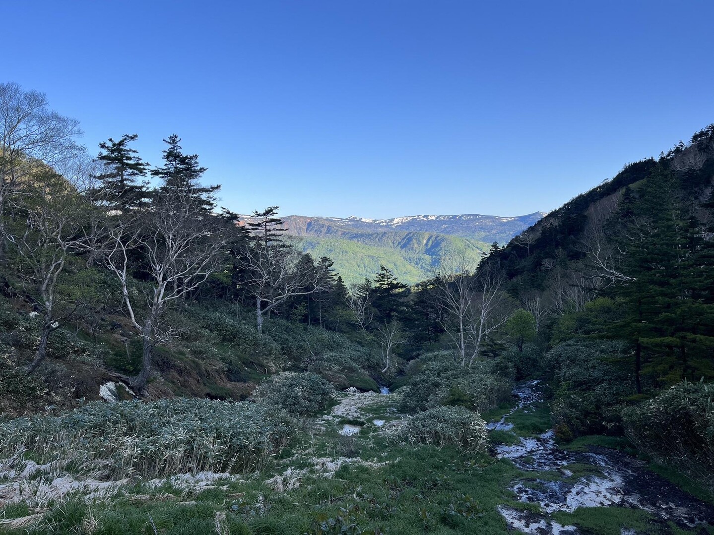 岩手山 / mt.ryuさんの岩手山・黒倉山・鞍掛山の活動データ | YAMAP / ヤマップ