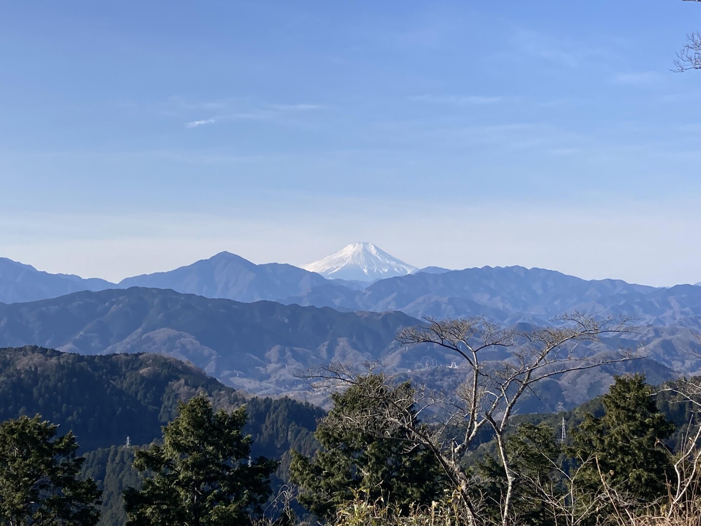 高尾山・城山（小仏城山） / orihinukさんの高尾山・陣馬山・景信山の活動データ | YAMAP / ヤマップ
