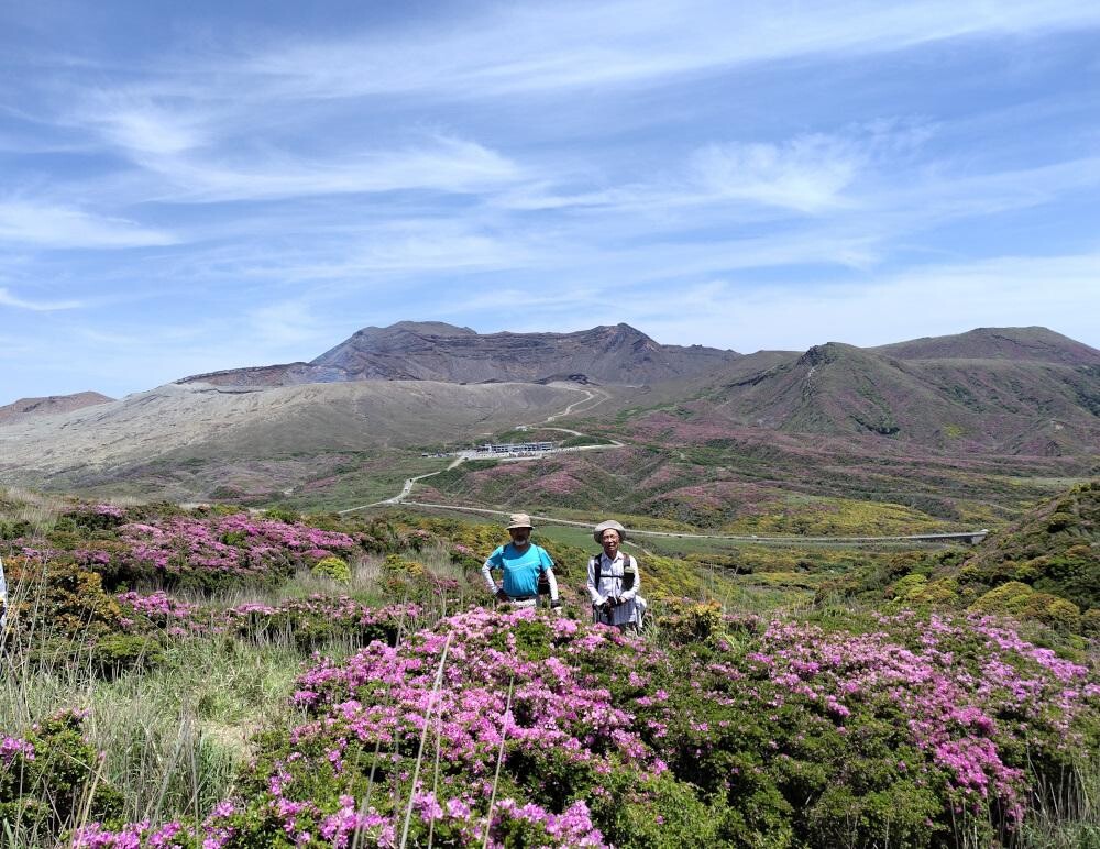 `24,05,17烏帽子岳ミヤマキリシマ / fukuさんの阿蘇山・高岳・根子岳の活動日記 | YAMAP / ヤマップ