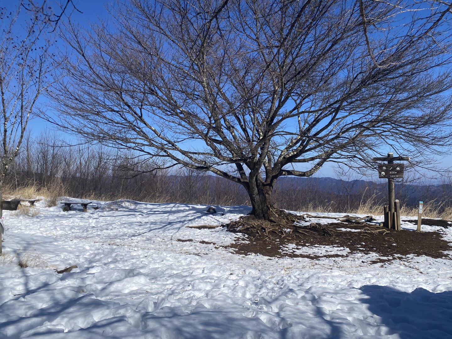 棒ノ嶺（棒ノ折山） / りちゃーどさんの棒ノ折山（棒ノ嶺）の活動データ | YAMAP / ヤマップ