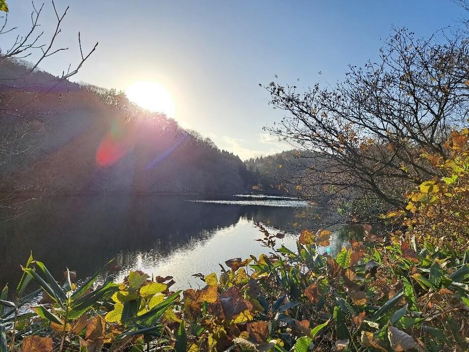 宝達山林道ラン / tottinさんの宝達山の活動データ | YAMAP / ヤマップ