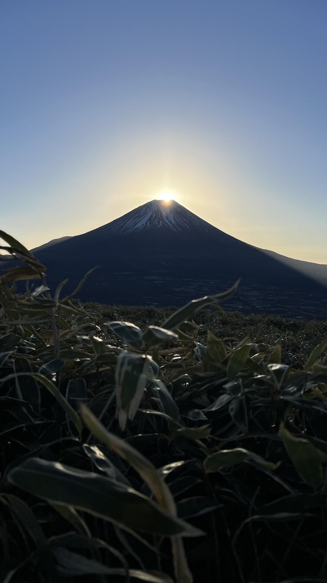 竜ヶ岳・ダイヤモンド富士 / hanさんの毛無山・雨ヶ岳・竜ヶ岳の活動データ | YAMAP / ヤマップ