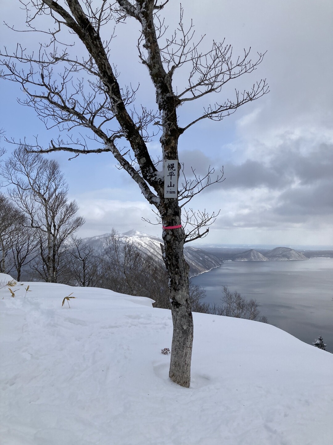幌平山（オコタンペ分岐から） / Yotchさんのイチャンコッペ山の活動データ | YAMAP / ヤマップ
