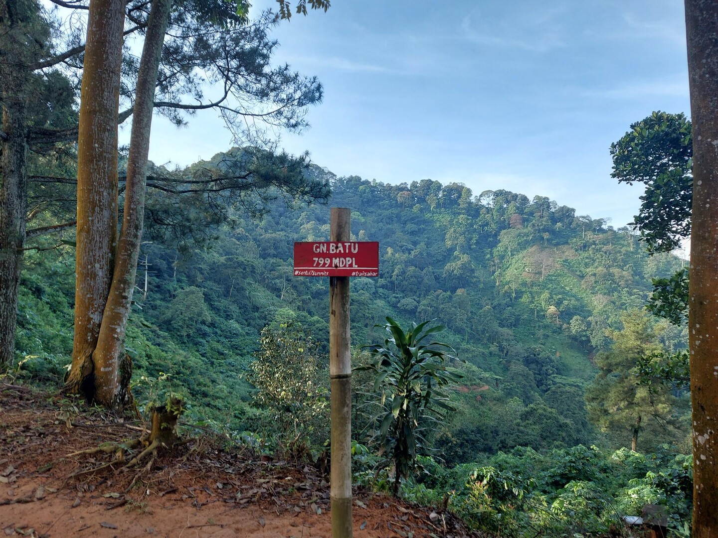 ALA ALA トレイル（トレラン）-DNF / OMUさんのクタ山の活動データ | YAMAP / ヤマップ