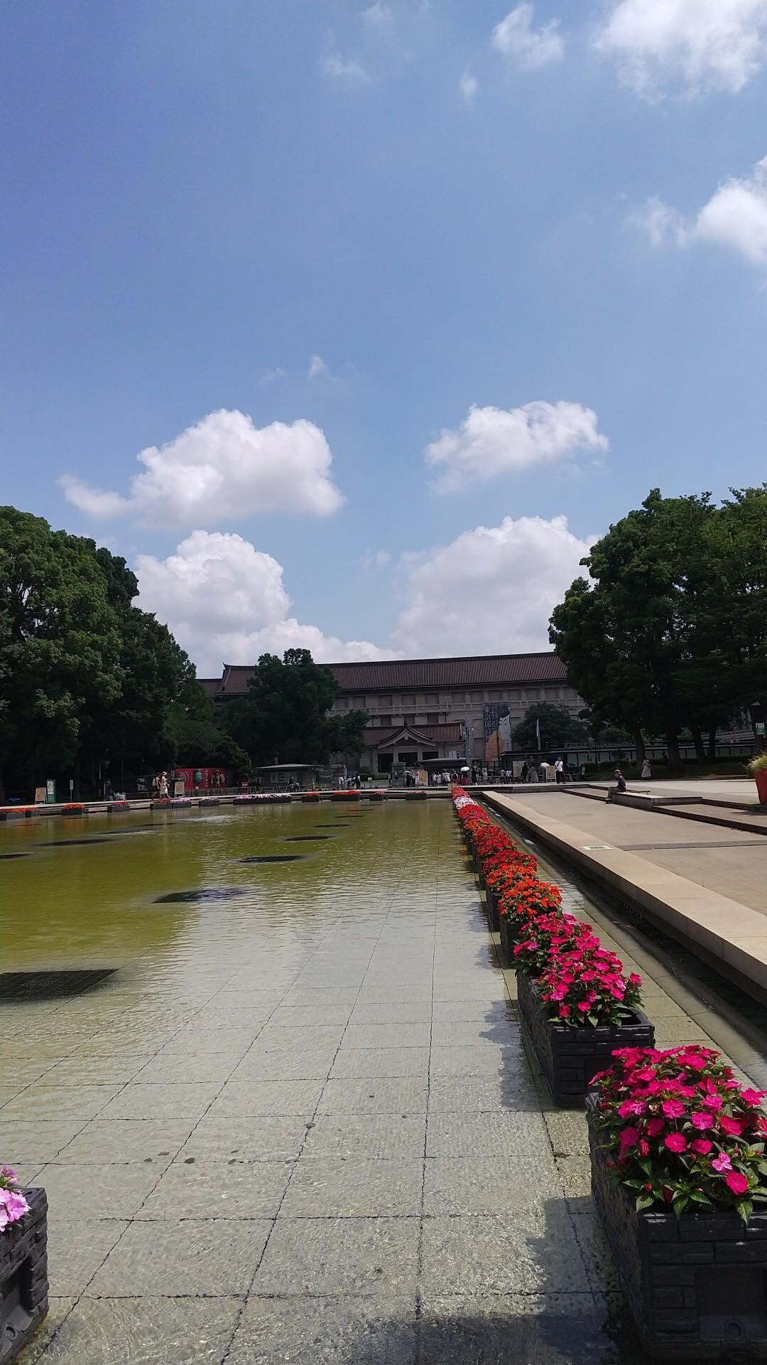 古代メキシコ展。下町ハイボールフェスも楽... / 四十雀さんのモーメント | YAMAP / ヤマップ