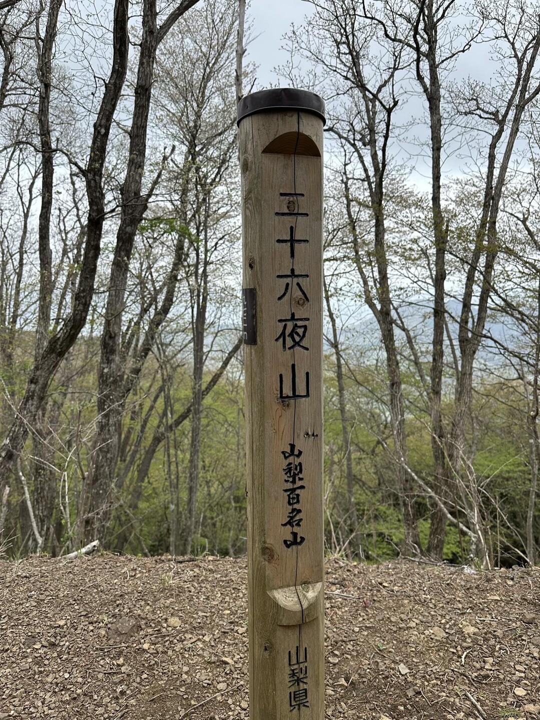 二十六夜山（秋山二十六夜山） / nakaekoさんの倉岳山・高畑山・九鬼山の活動データ | YAMAP / ヤマップ