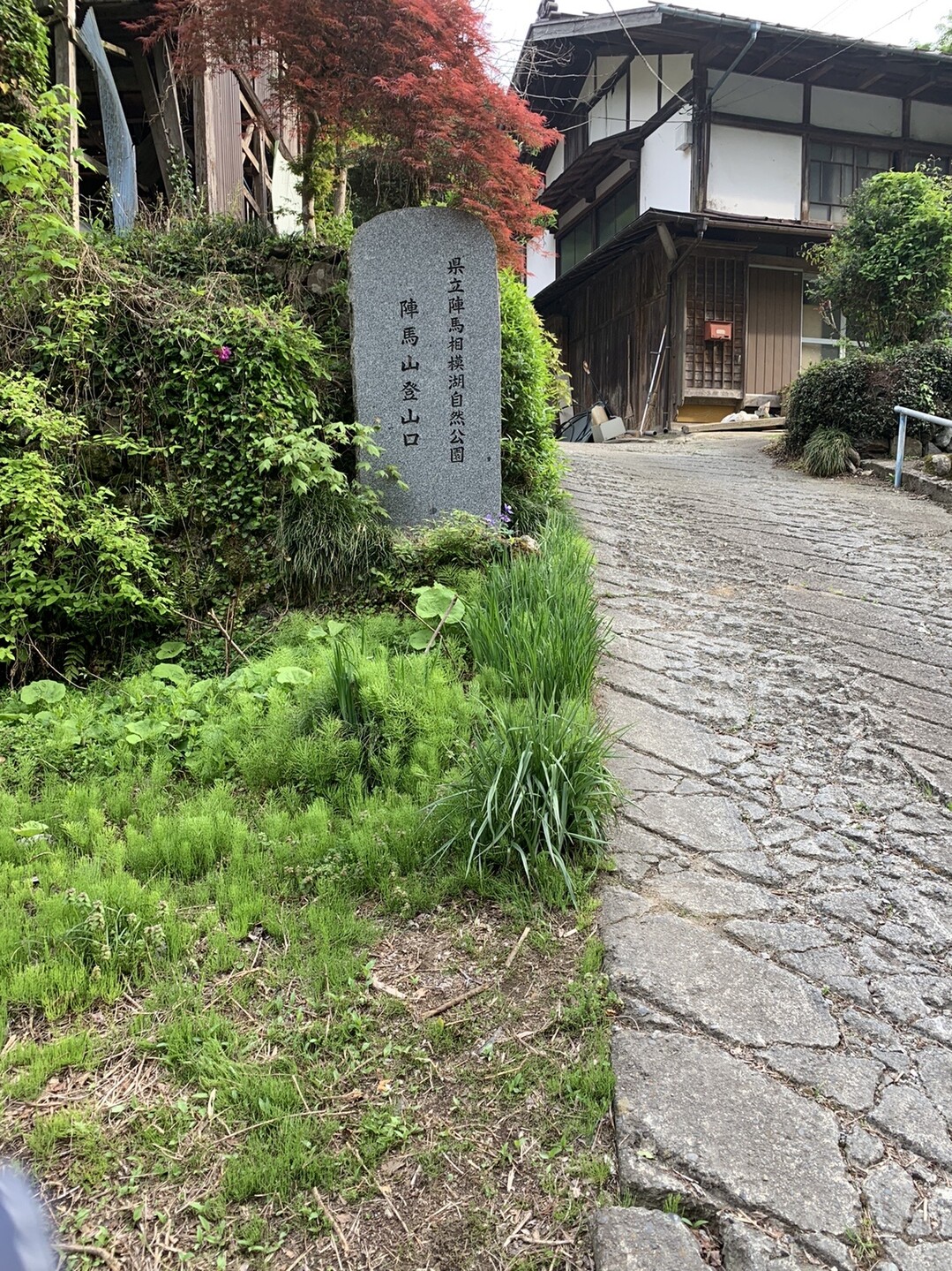 生藤山-2019-05-03 / Y_U_55さんの生藤山の活動データ | YAMAP / ヤマップ