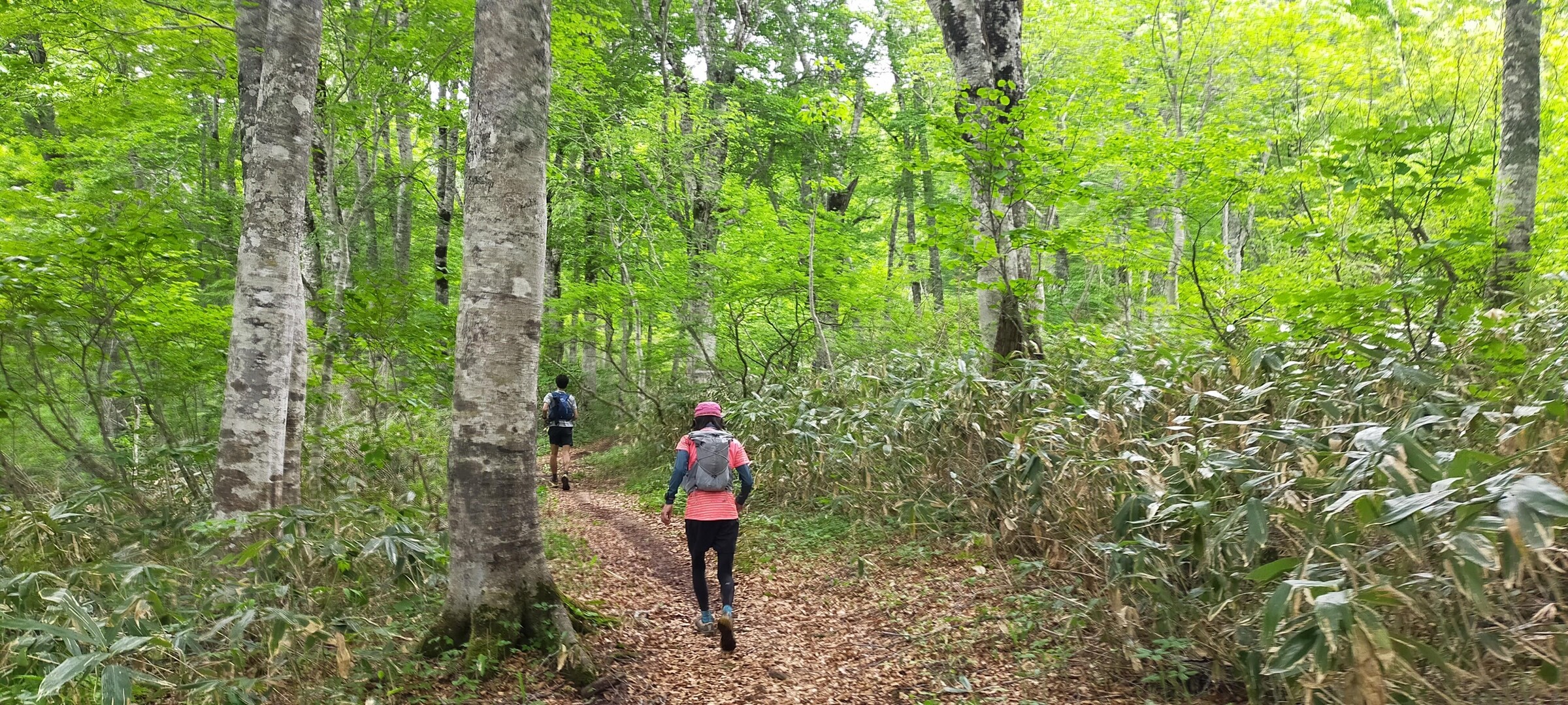 お初の100km！奥信濃100参戦！ / みやかわさんの高社山（高井富士）の活動データ | YAMAP / ヤマップ
