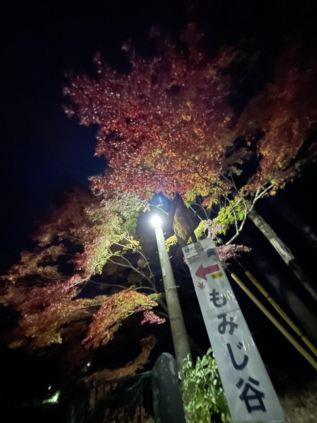 良い感じの、秋🍁の夜の 織姫神社⛩ 新... / HAMHAM21さんのモーメント | YAMAP / ヤマップ