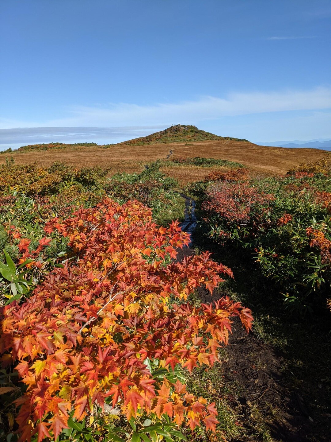 秣岳とモンサンミッシェル🇫🇷 / yugohさんの栗駒山（須川岳）・秣岳・虚空蔵山の活動データ | YAMAP / ヤマップ