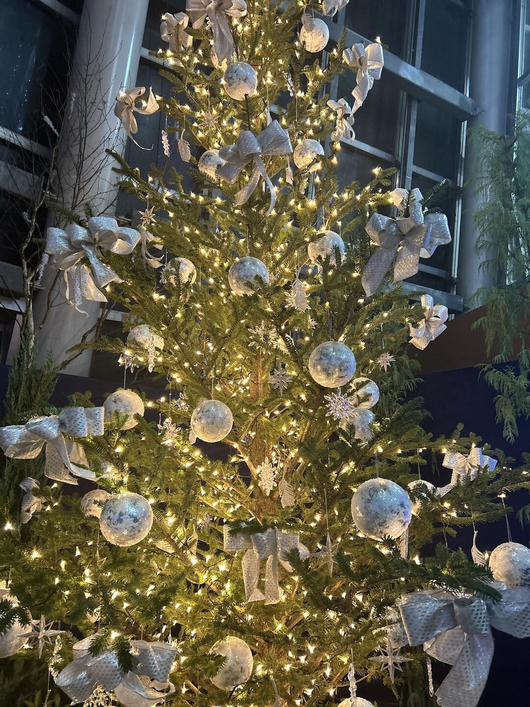 【メリクリサプライズ🎄⛰️】 今年は雪... / ぴーちゃんさんのモーメント | YAMAP / ヤマップ