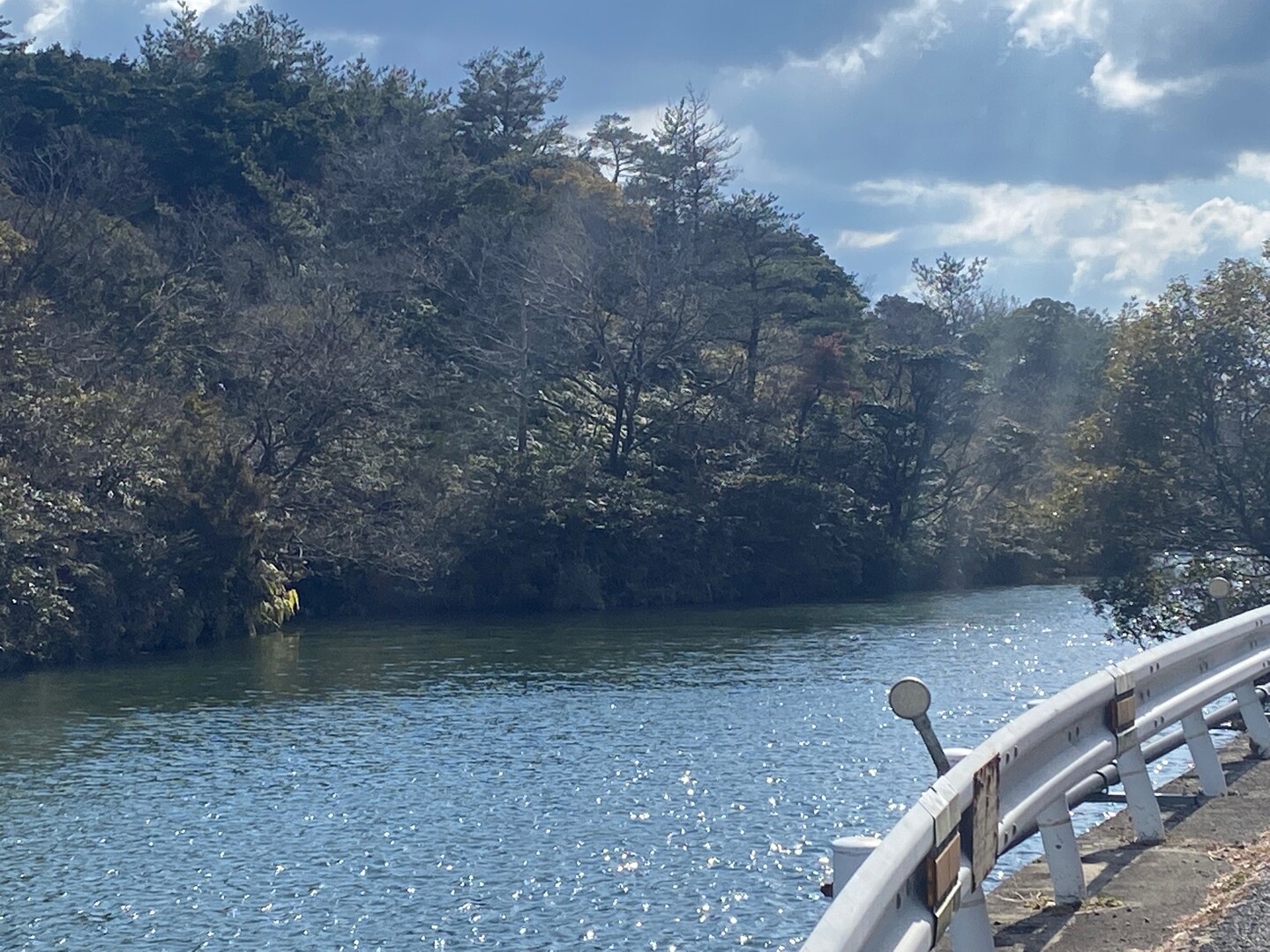 甲山 / nob さんの和歌山市の活動データ | YAMAP / ヤマップ