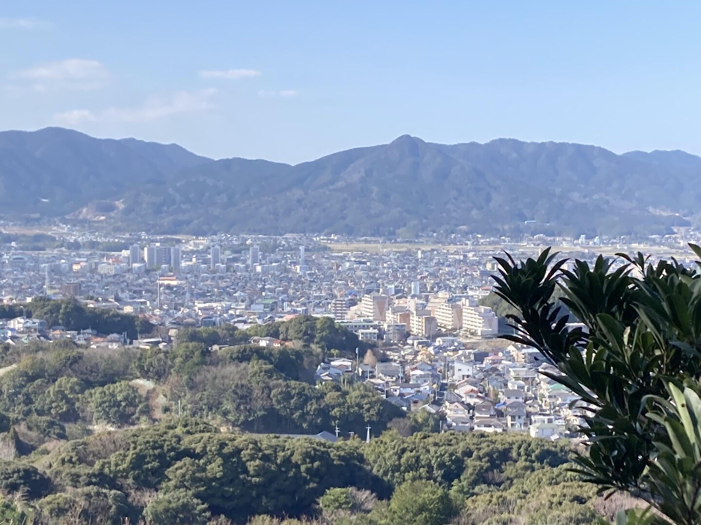片江山 / 真ちゃんJI-JIさんの油山・荒平山・片縄山の活動データ | YAMAP / ヤマップ