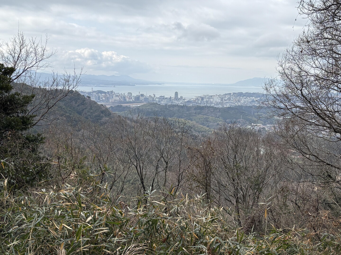 嵩山 / momacさんの嵩山・和久羅山の活動データ | YAMAP / ヤマップ