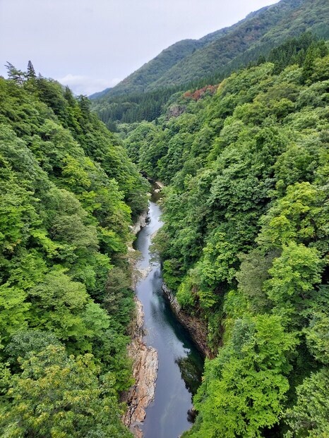 このご時世ですが、外せない用事の為お隣秋... / Yさんのモーメント | YAMAP / ヤマップ