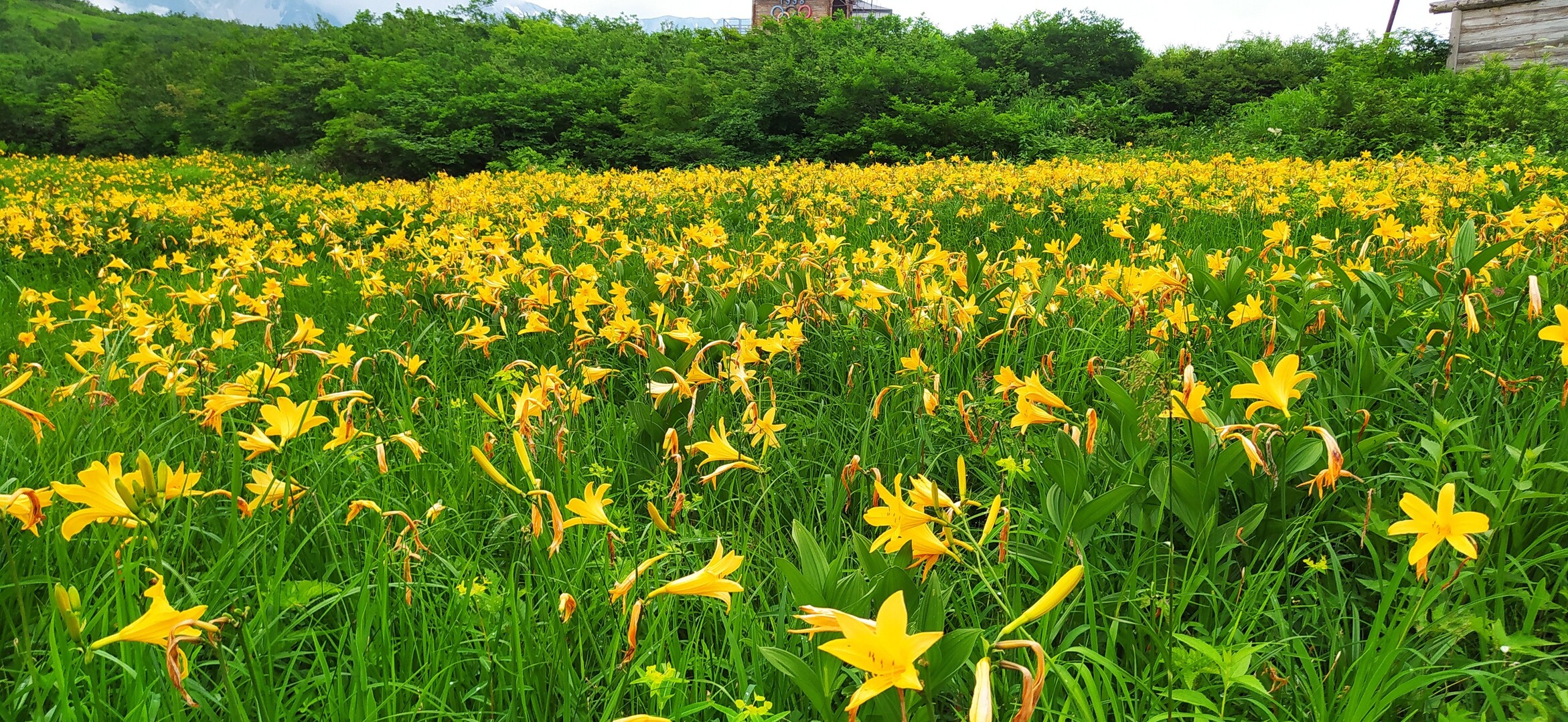 ここにも天国が!☺ / yomakさんのモーメント | YAMAP / ヤマップ