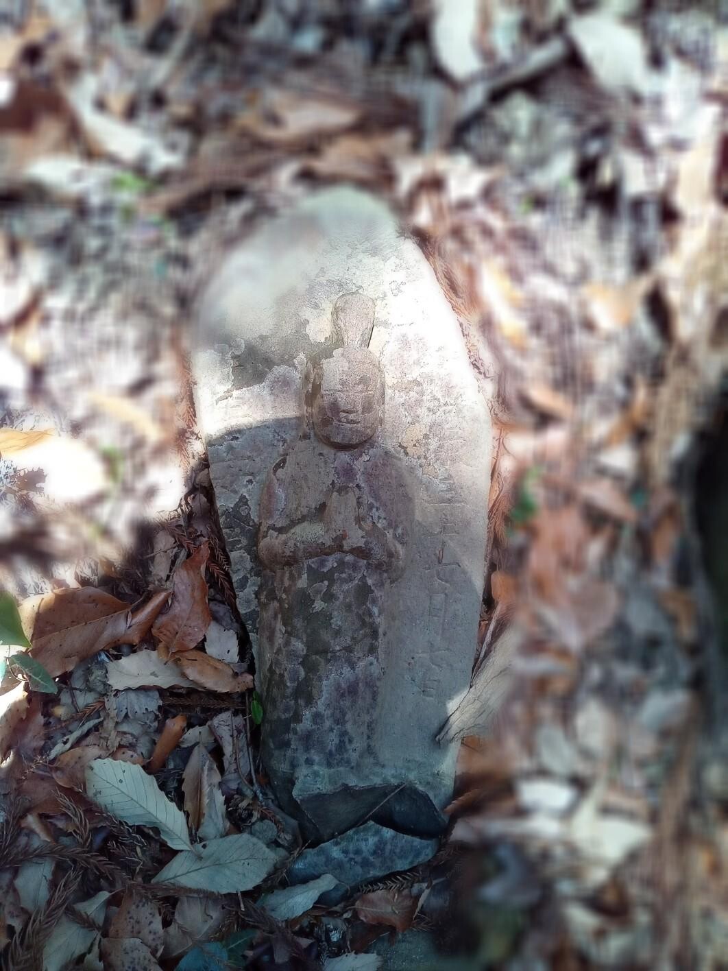 要害山・天狗岩・赤ぼっこ / kyo_koさんの赤ぼっこの活動データ | YAMAP / ヤマップ