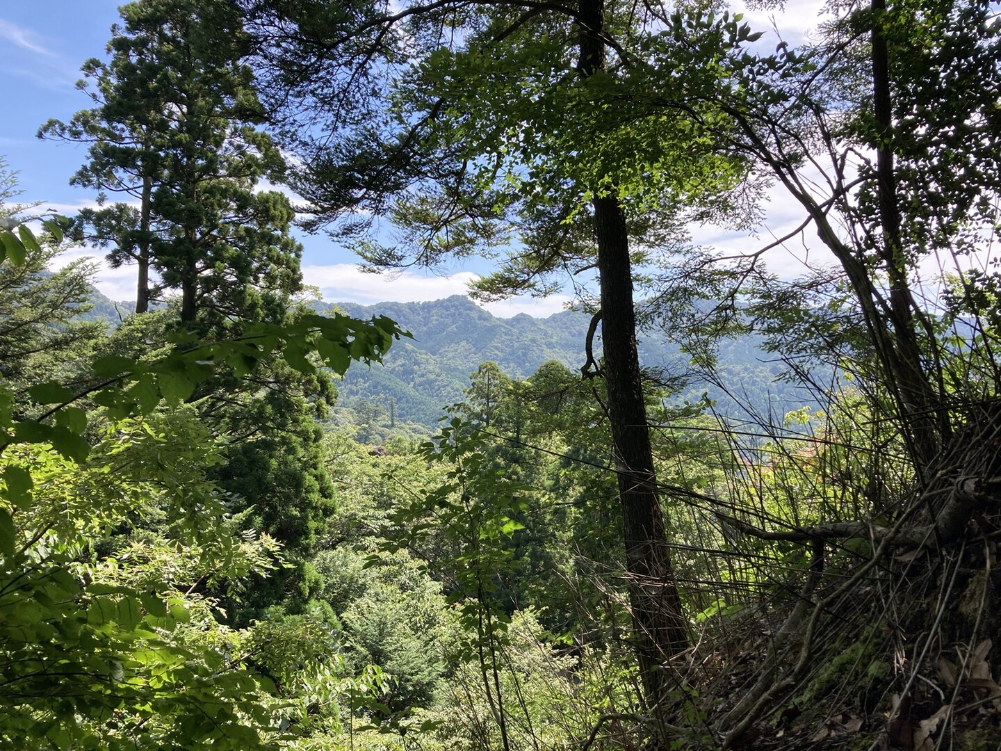 skyloveさんの投稿したフィールドメモ | YAMAP / ヤマップ