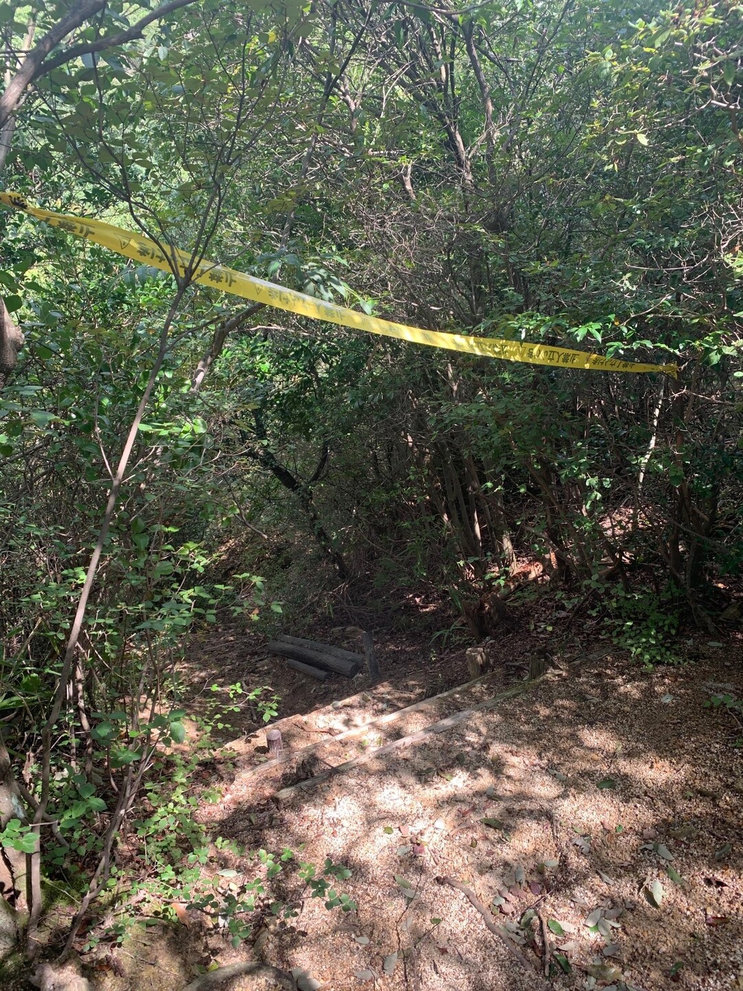 hikkyさんの投稿したフィールドメモ | YAMAP / ヤマップ