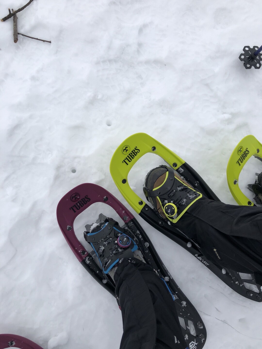 念願の初スノーシュー試してきました。 場... / rirunaoさんのモーメント | YAMAP / ヤマップ