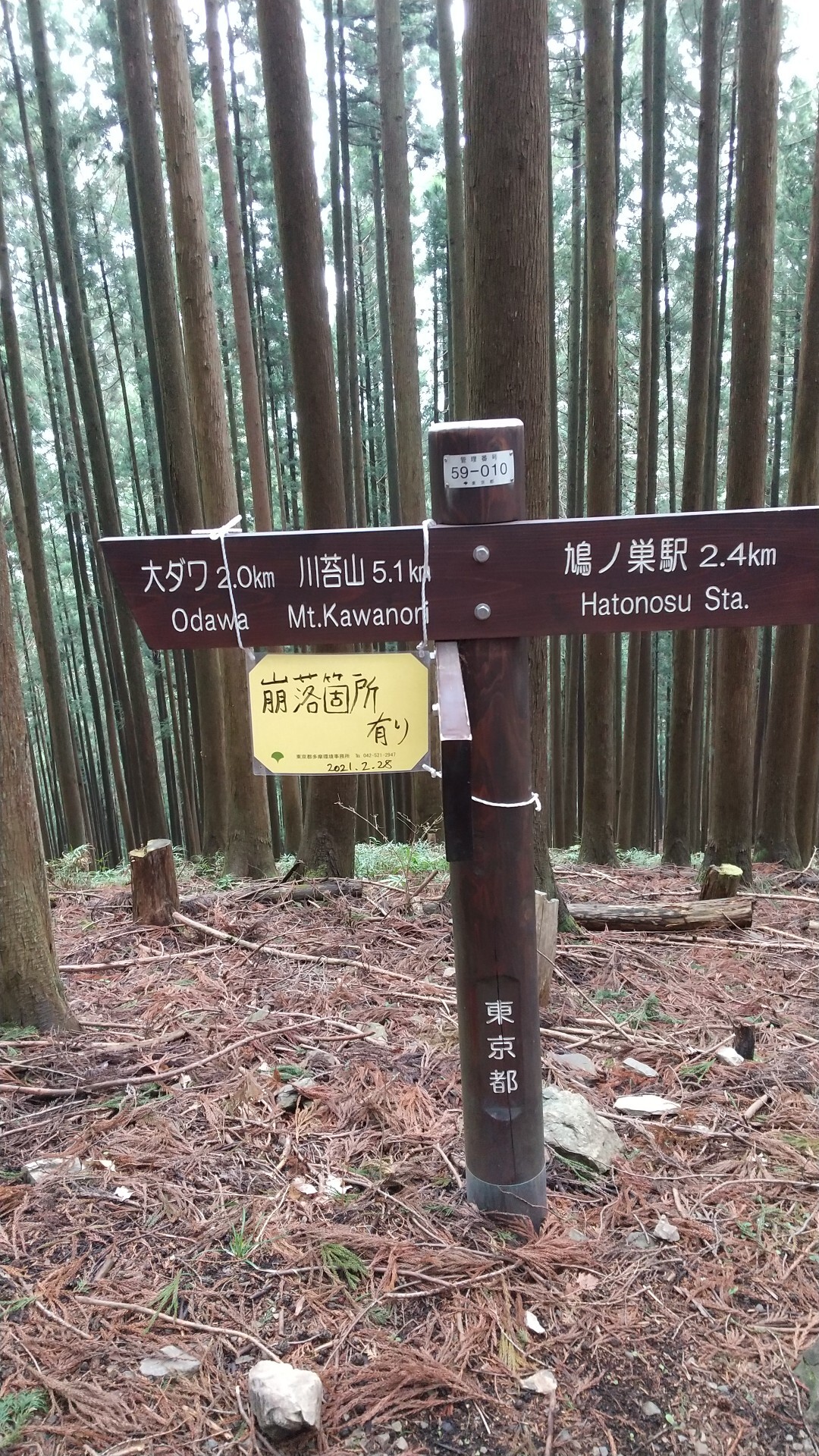 Hectorさんの投稿したフィールドメモ | YAMAP / ヤマップ