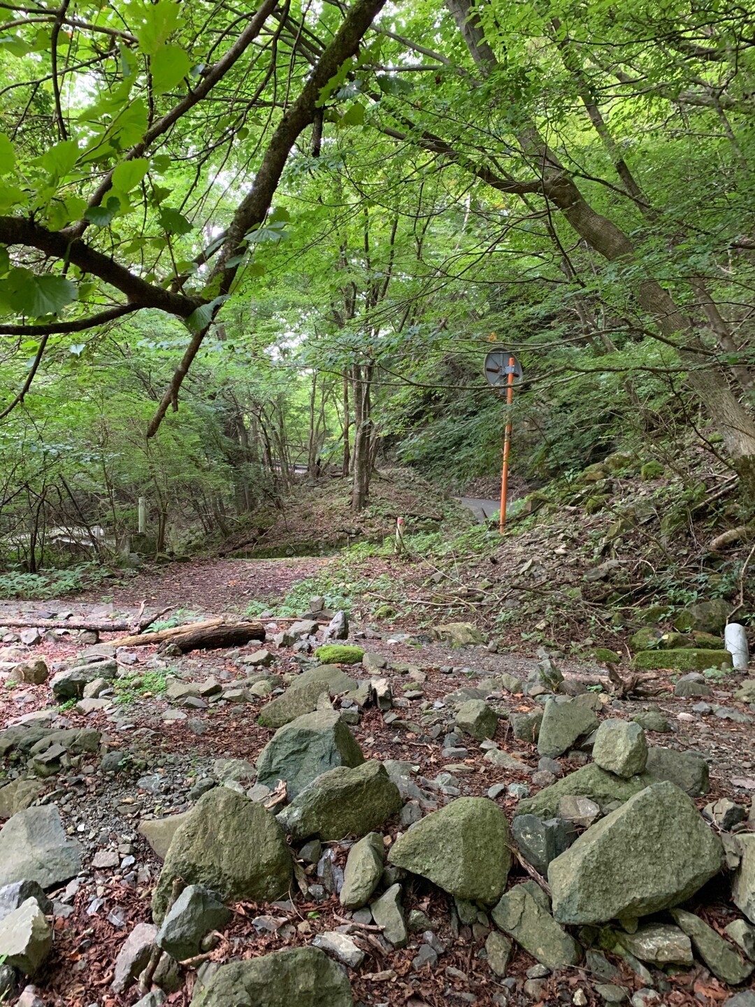 HIDEさんの投稿したフィールドメモ | YAMAP / ヤマップ