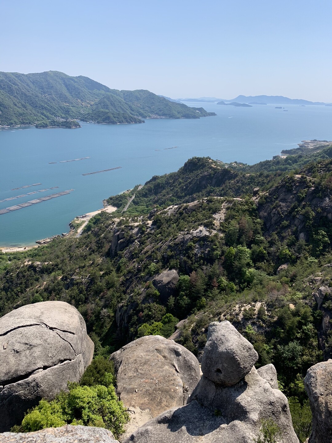 たいそちゃん達と一緒に故郷の山、陀峯山に... / kbさんのモーメント | YAMAP / ヤマップ