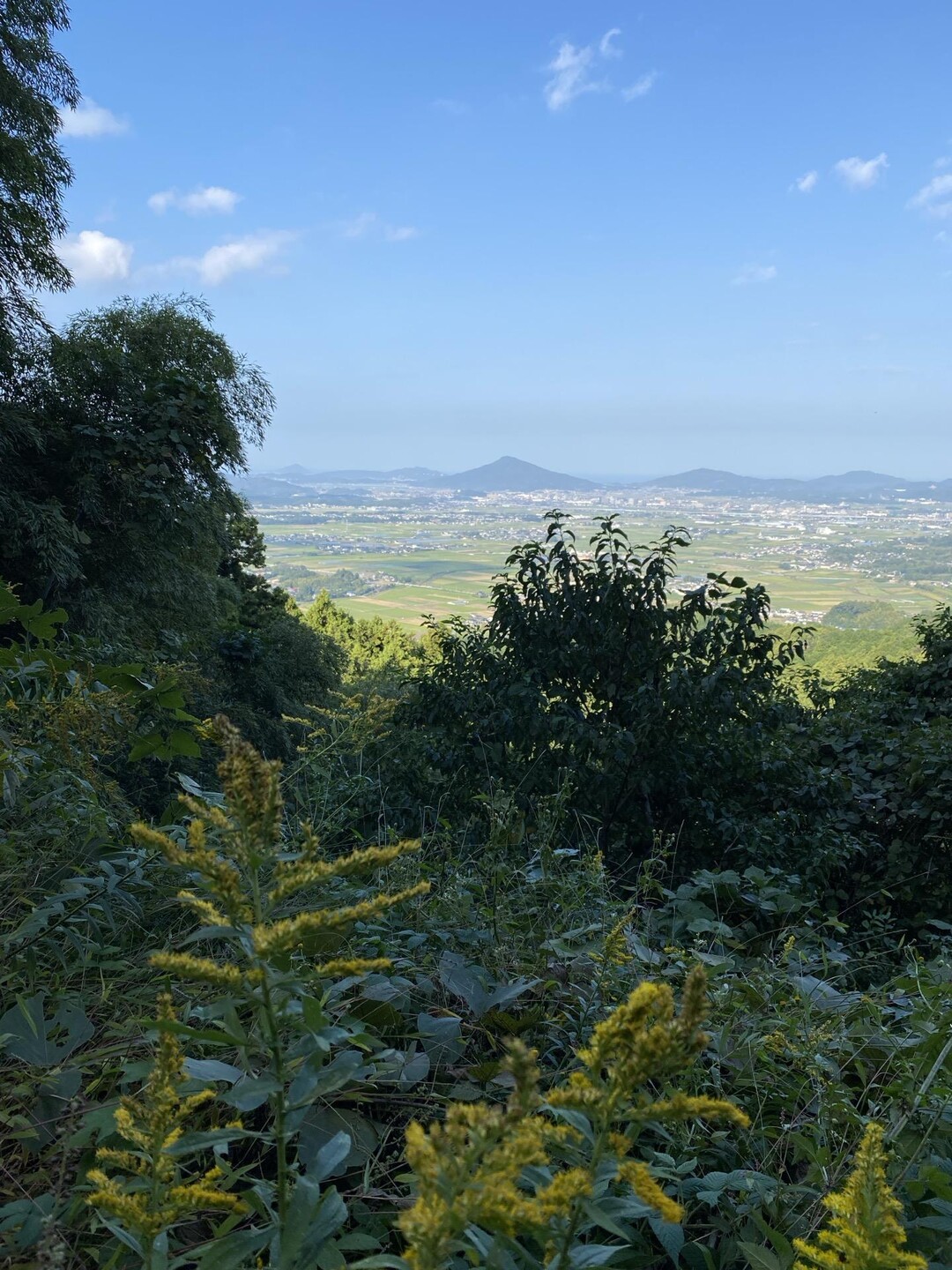 王丸山・上王丸山・鍋谷山(糸島) / em1209さんの雷山・井原山の活動データ | YAMAP / ヤマップ