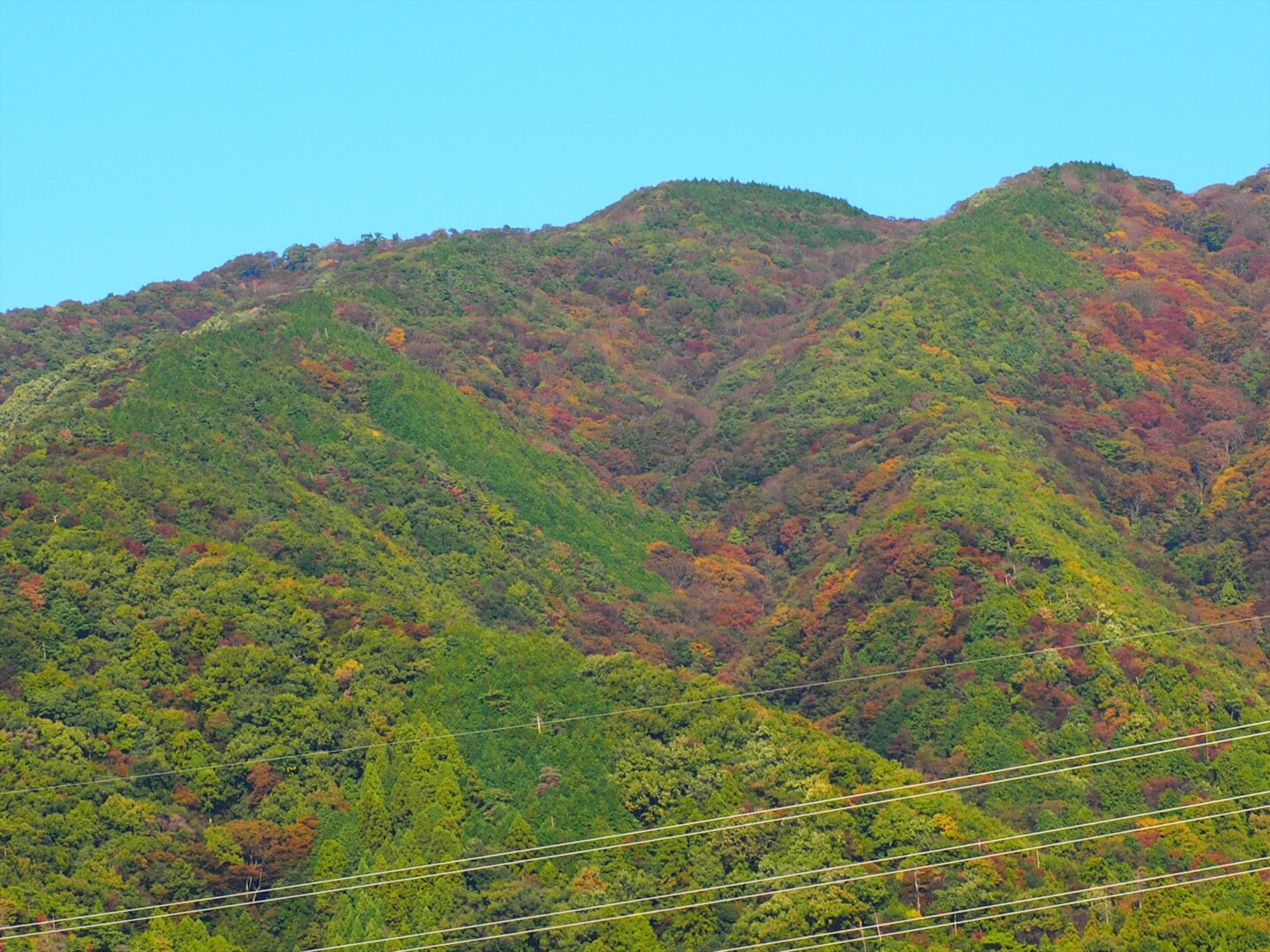 七尾山 / sensaさんの七尾山の活動データ | YAMAP / ヤマップ