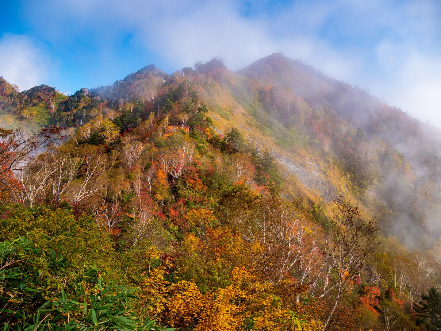 高妻山 / yasさんの高妻山・戸隠山の活動データ | YAMAP / ヤマップ