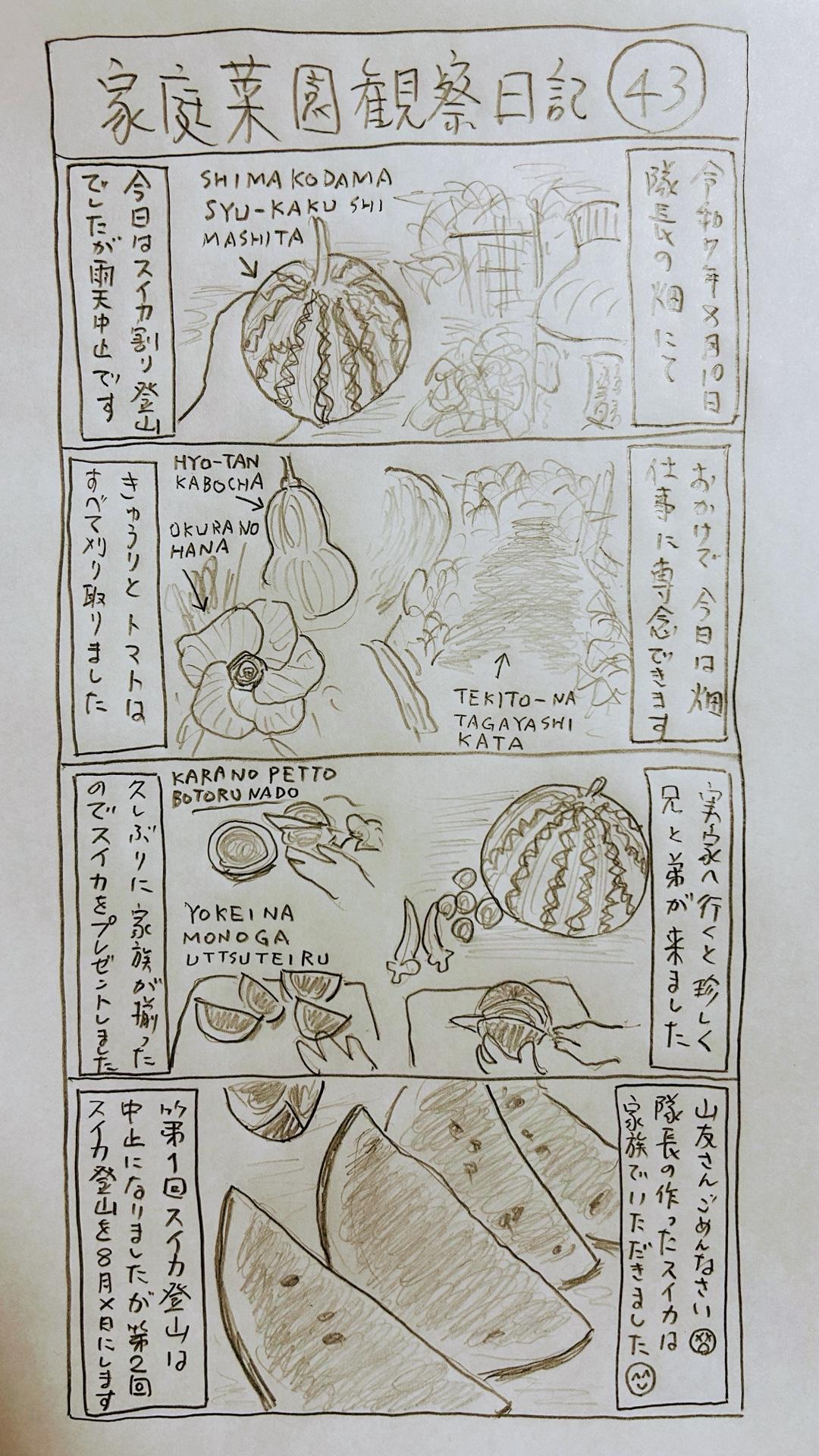 隊長😂😂😂の4コマ漫画 家庭菜園観... / 隊長😂😂😂さんのモーメント | YAMAP / ヤマップ