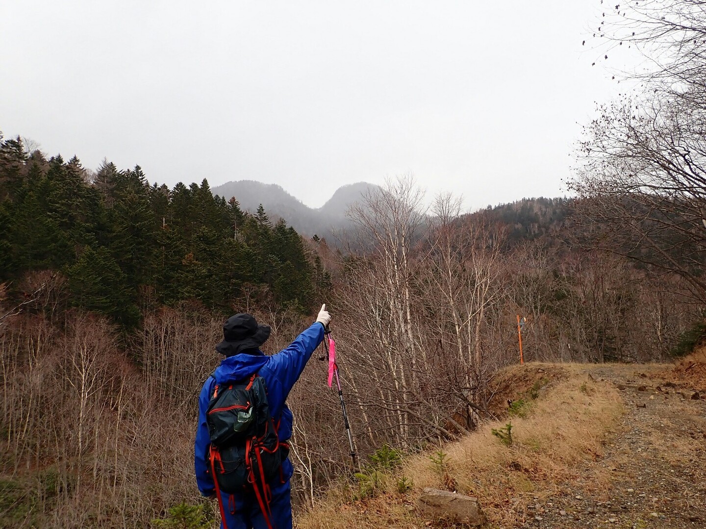屏風山 （糠平）1291m 屏風のはじっこを攻めて山頂へ / みなみんみんさんのウペペサンケ山の活動データ | YAMAP / ヤマップ