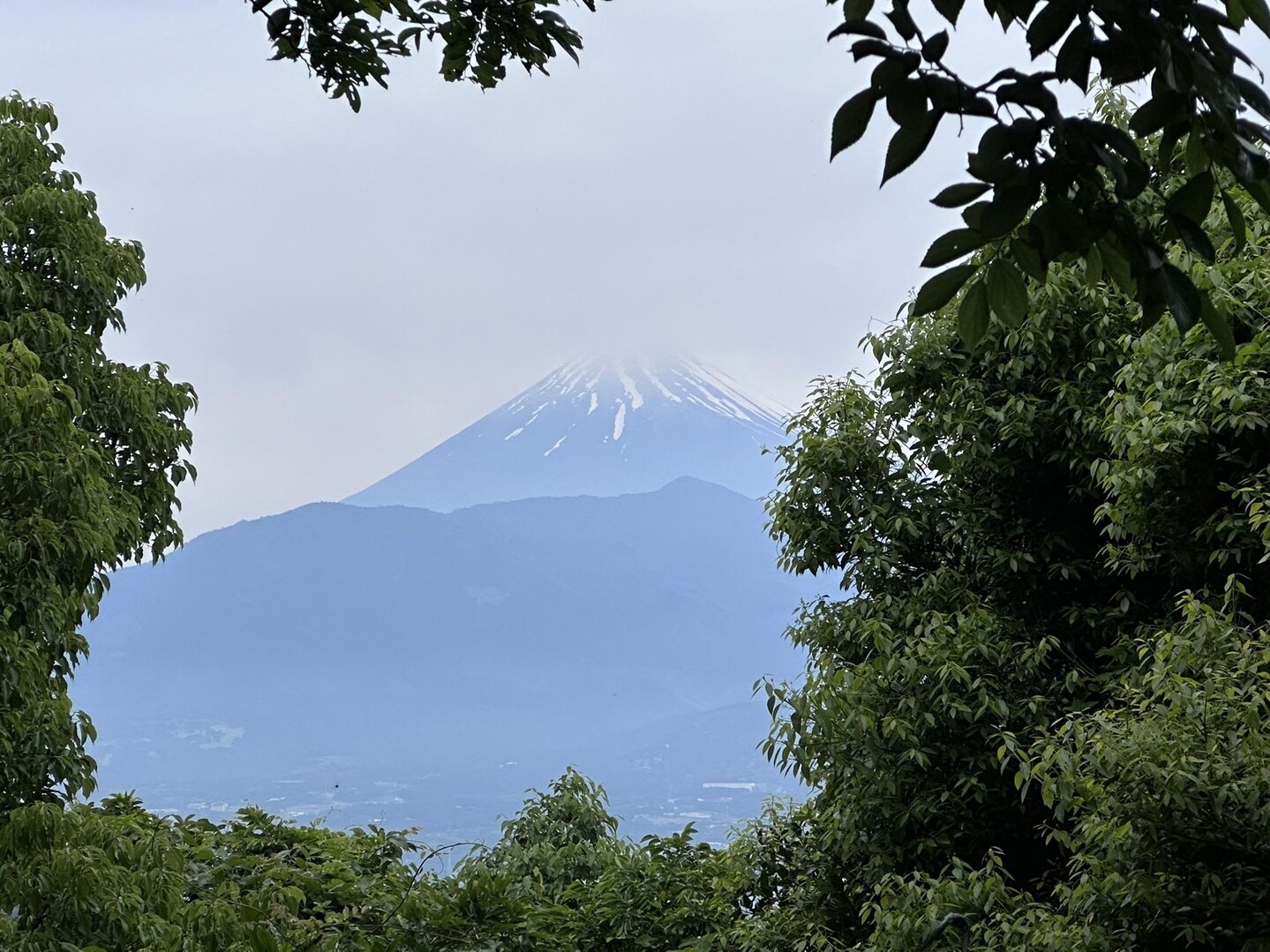 沼津アルプス縦走 / ayakaさんの沼津アルプス・鷲頭山・香貫山の活動データ | YAMAP / ヤマップ