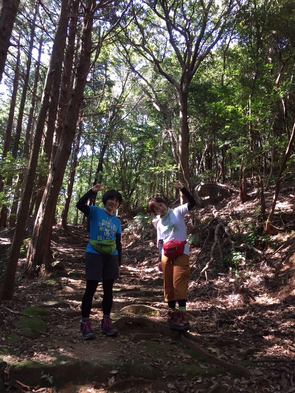 熊野古道 曽根次郎坂太郎坂 / ヘロリンさんの熊野古道 伊勢路⑤の活動データ | YAMAP / ヤマップ