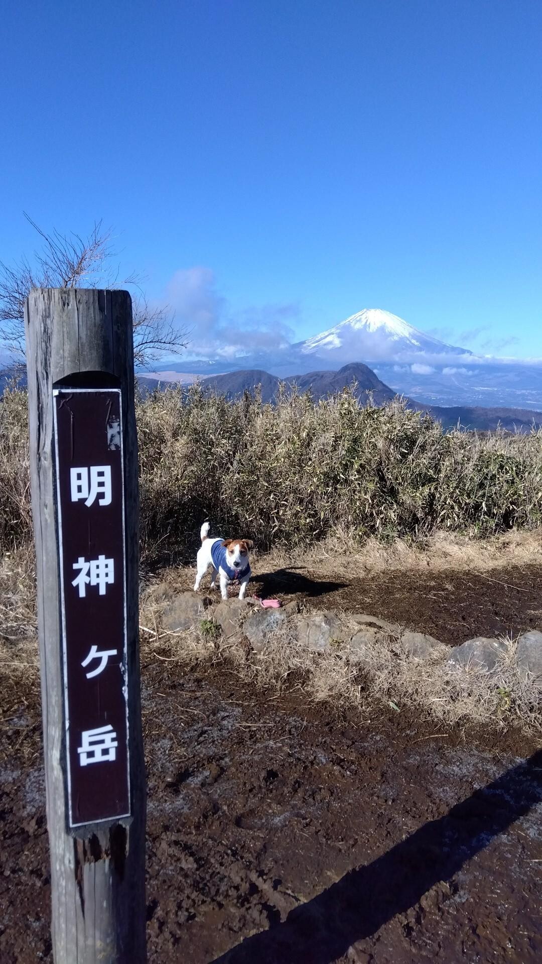 明神ヶ岳(2回目)最乗寺〜 / Veenaさんの金時山・明神ヶ岳の活動データ | YAMAP / ヤマップ