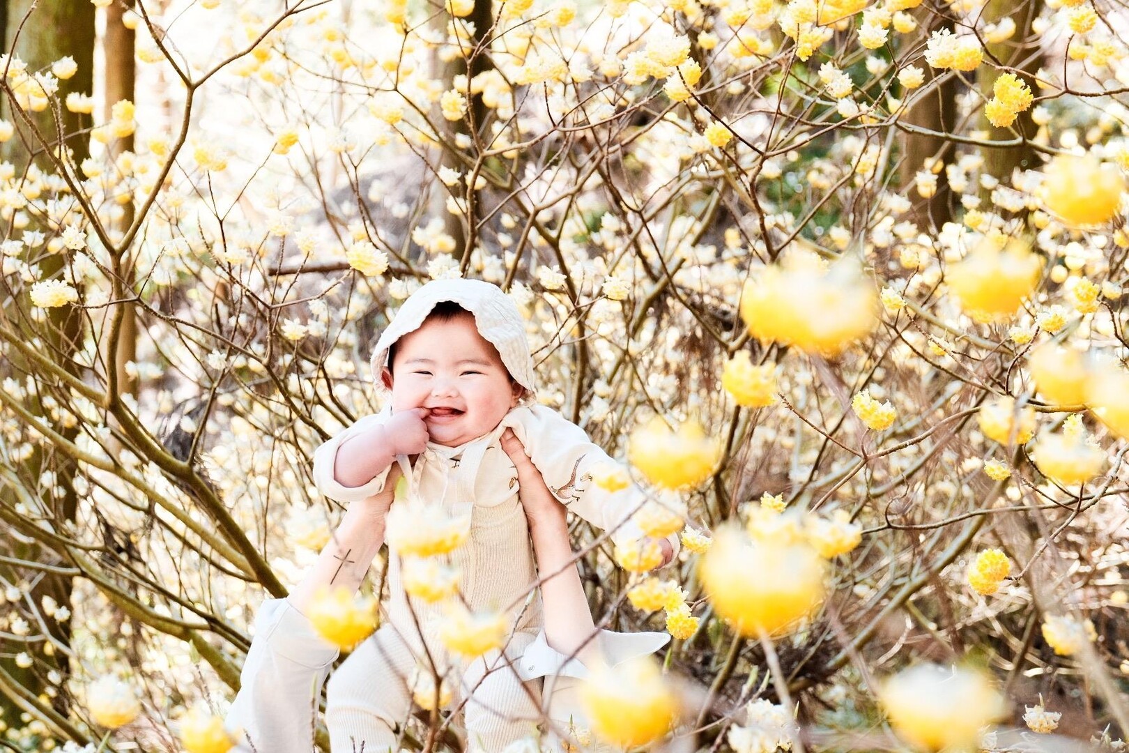 登山デビュー👶🏻不動尻🌼ミツマタ / SOYさんの大山の活動データ | YAMAP / ヤマップ