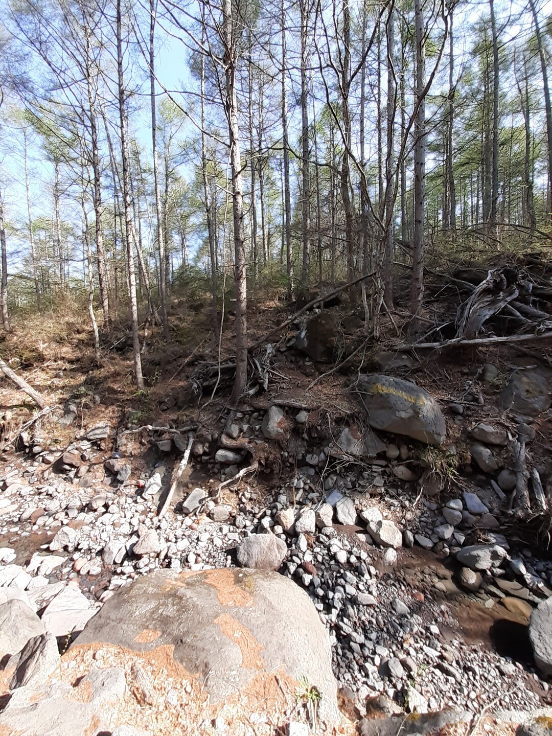 ko usさんの投稿したフィールドメモ | YAMAP / ヤマップ