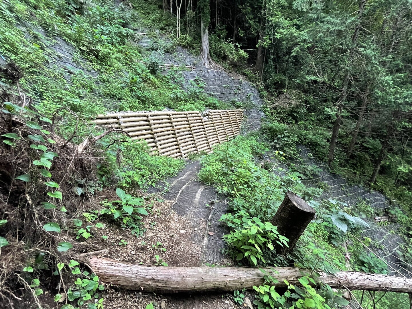 tsk-chaponさんの投稿したフィールドメモ | YAMAP / ヤマップ