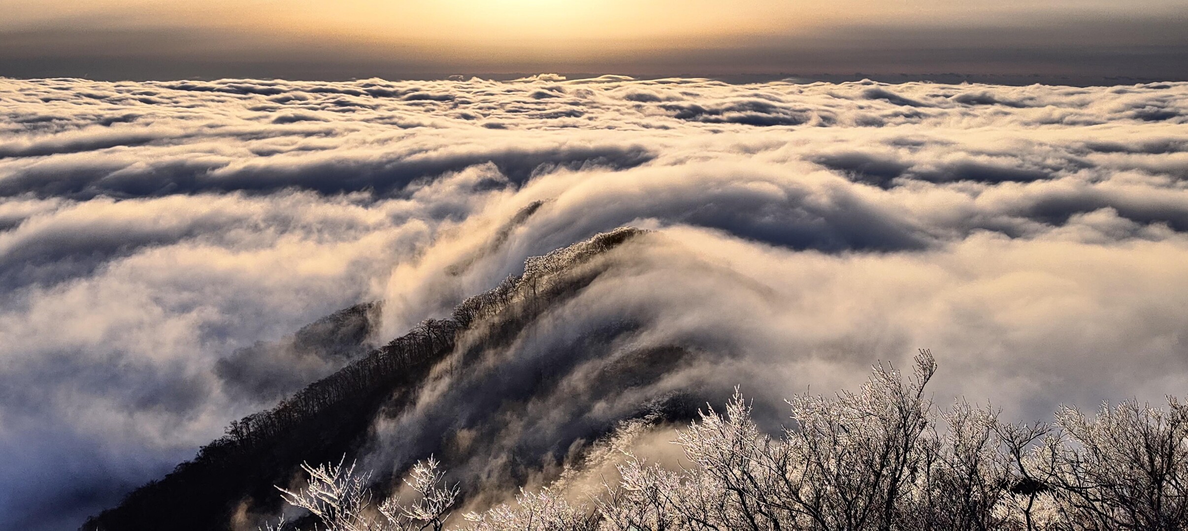 塔ノ岳 / a-kumaさんの塔ノ岳・丹沢山・蛭ヶ岳の活動データ | YAMAP / ヤマップ